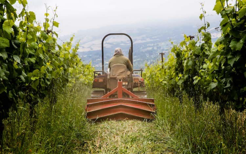 Vineyard Team - Promoting Sustainable Winegrowing